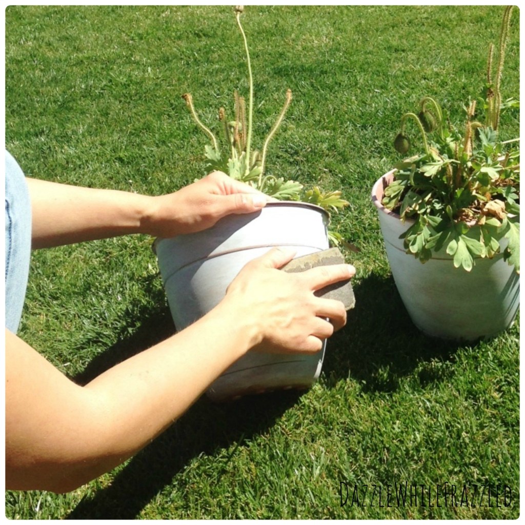 How to Make New Plastic Pots Look Old with Paint